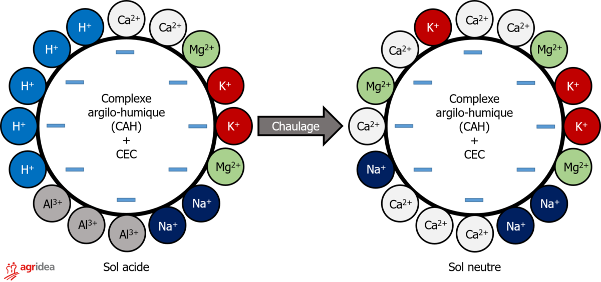 Chaulage – Erosion
