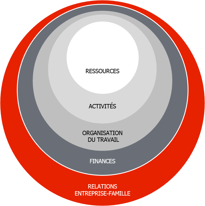 L’analyse stratégique interne – Strategidea