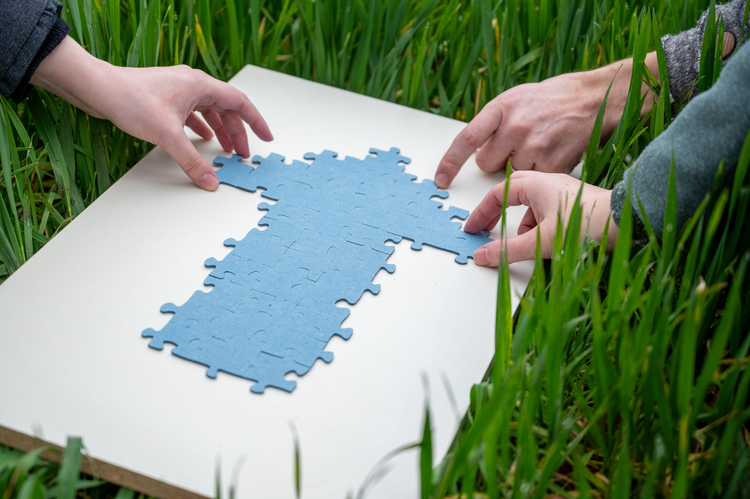 Portfolio – Agripedia